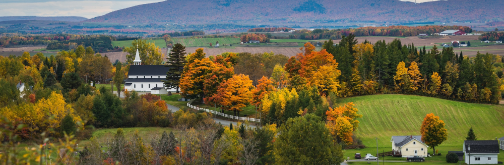 Download The Need for Rural Internet Connectivity Infographic