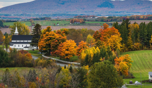 Download The Need for Rural Internet Connectivity Infographic